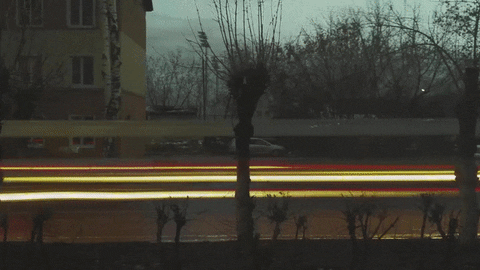 Window GIF - Find & Share on GIPHY