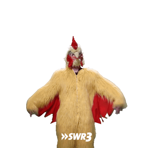 Flying Fly Away Sticker by SWR3 for iOS & Android | GIPHY