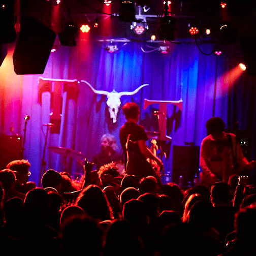 Crowd Surf GIF by wade.photo - Find & Share on GIPHY