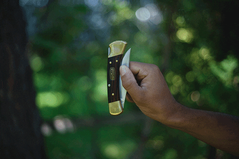 Knife GIF - Find & Share on GIPHY