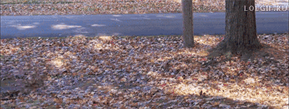 Economy GIFs - Find & Share on GIPHY