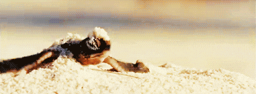 Sand GIF - Find & Share on GIPHY
