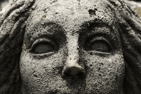 Statue GIF - Find & Share on GIPHY