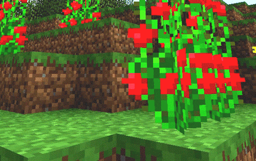 Scenery GIF - Find & Share on GIPHY