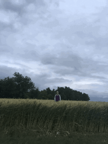 Field GIF - Find & Share on GIPHY