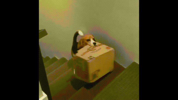 Helper GIFs - Find & Share on GIPHY