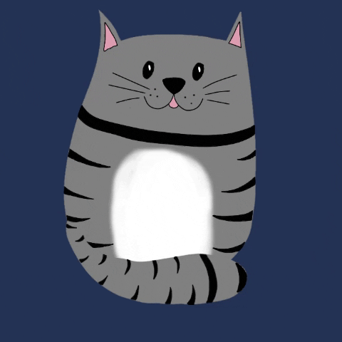 Cat Hello GIF - Find & Share on GIPHY