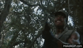 Predator GIF - Find & Share on GIPHY