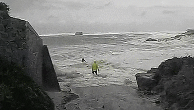 The Great Wave GIF
