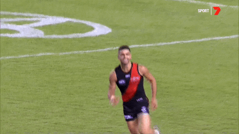 Sport Fans GIF by Essendon FC - Find & Share on GIPHY