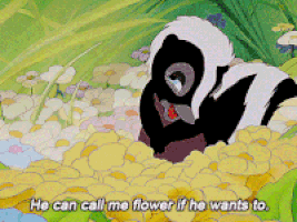 Skunk Gifs For Facebook