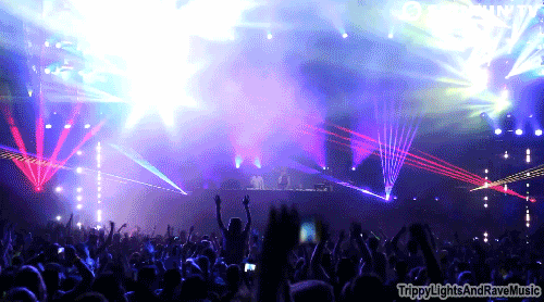 Crowd Rave GIF - Find & Share on GIPHY