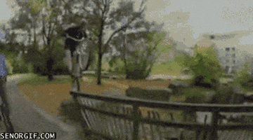 Bike Falling GIF - Find & Share on GIPHY