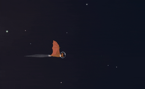 Space GIF - Find & Share on GIPHY