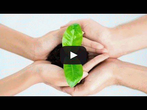 Sustainability GIF - Find & Share on GIPHY