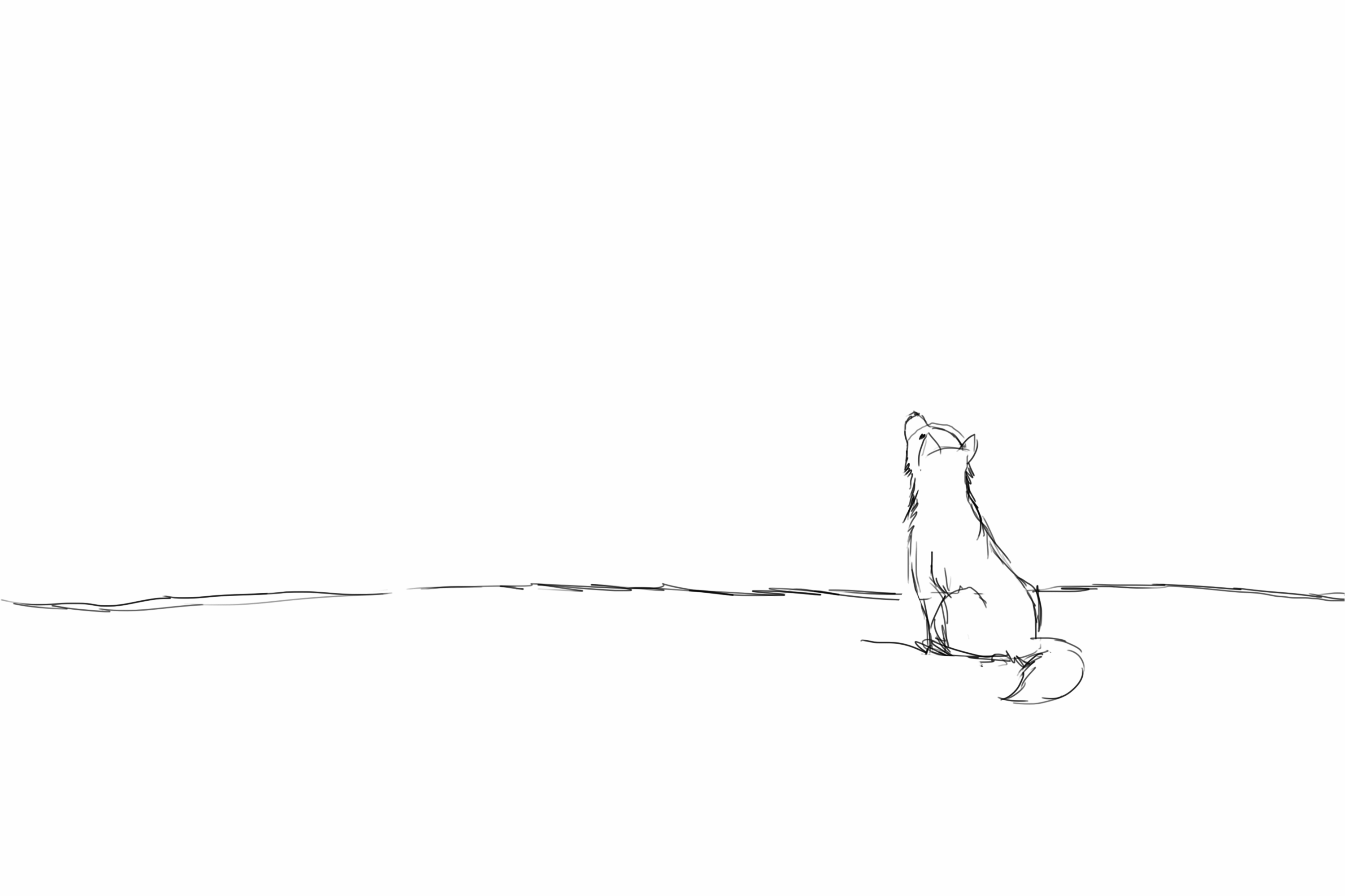 Sketch GIF - Find & Share on GIPHY