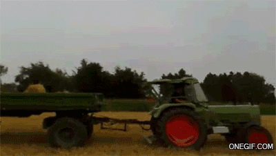 Day Hay GIF - Find & Share on GIPHY