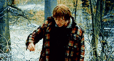 Ron Weasley GIF - Find & Share on GIPHY