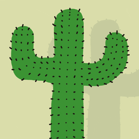 Cactus GIFs - Find & Share on GIPHY