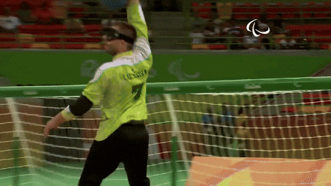 Rolling Rio 2016 GIF by International Paralympic Committee - Find ...