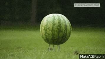 Watermelon GIF - Find & Share on GIPHY