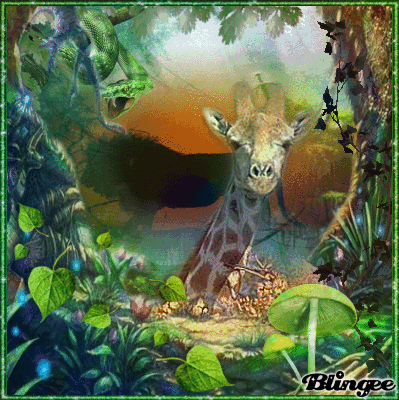 Wild Animals GIF - Find & Share on GIPHY Wild Animals GIF - Find & Share on GIPHY
