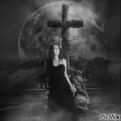 Shadow GIF - Find & Share on GIPHY