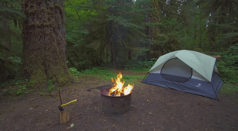 Campfire GIFs - Find & Share on GIPHY