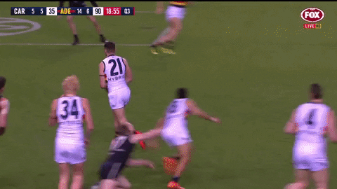 Round 23 Goal GIF by Adelaide Crows - Find & Share on GIPHY