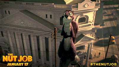 The Nut Job Movie GIFs - Find & Share on GIPHY