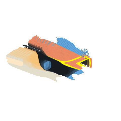 Fish Sticker for iOS & Android | GIPHY