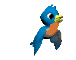 Transparent Animated Bird Gif