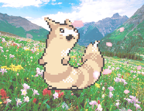 Furret GIFs - Get the best GIF on GIPHY