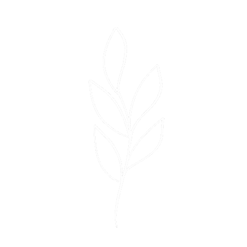 White Sticker for iOS & Android | GIPHY