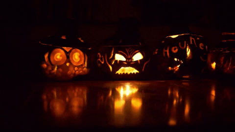 Isle Of Man Manx GIF by Culture Vannin - Find & Share on GIPHY