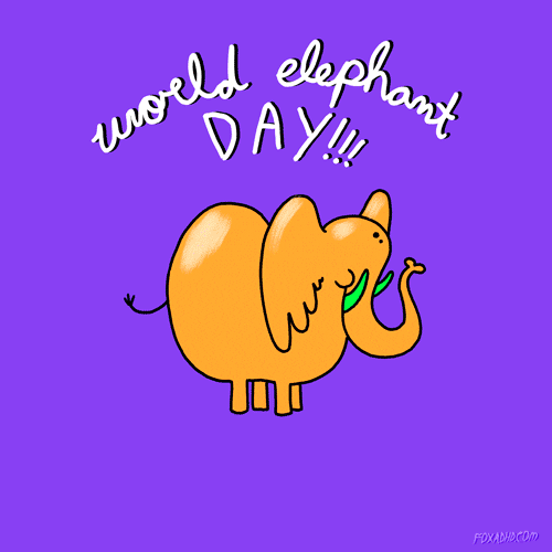 Artists On Tumblr Fox Adhd GIF by Animation Domination High-Def - Find ...