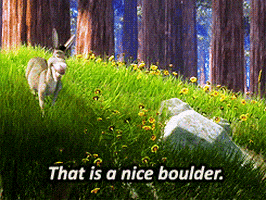 Shrek Donkey GIF - Find & Share on GIPHY