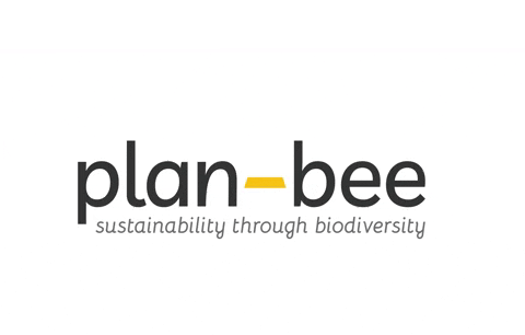 Plan-Bee GIF by DASH- - Find & Share on GIPHY