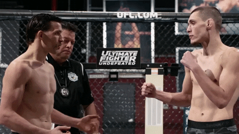 The Ultimate Fighter Tuf 27 GIF by UFC - Find & Share on GIPHY