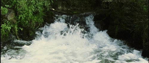 River GIF - Find & Share on GIPHY