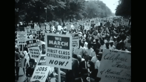 Gather Human Rights GIF by Declan McKenna - Find & Share on GIPHY