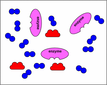 Bacteria GIF - Find & Share on GIPHY