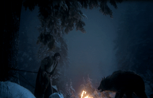 Wolf Attack GIFs - Get the best GIF on GIPHY