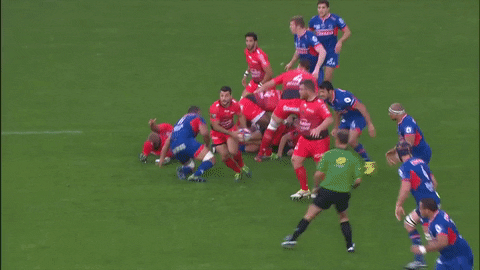 Hit Tackle GIF by FCG Rugby - Find & Share on GIPHY