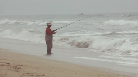 Fishing GIF - Find & Share on GIPHY