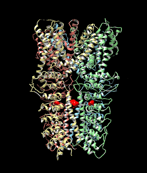 Receptor GIFs - Find & Share on GIPHY