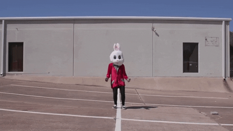 Bunny Dancing GIF by Film Riot - Find & Share on GIPHY