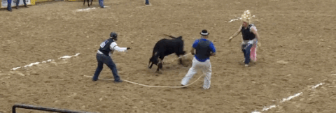 Rodeo GIF - Find & Share on GIPHY