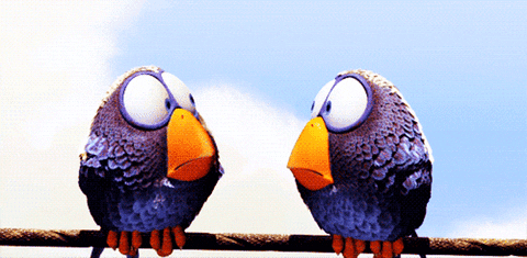 The Birds GIF - Find & Share on GIPHY