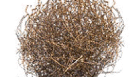 Tumbleweed GIF - Find & Share on GIPHY